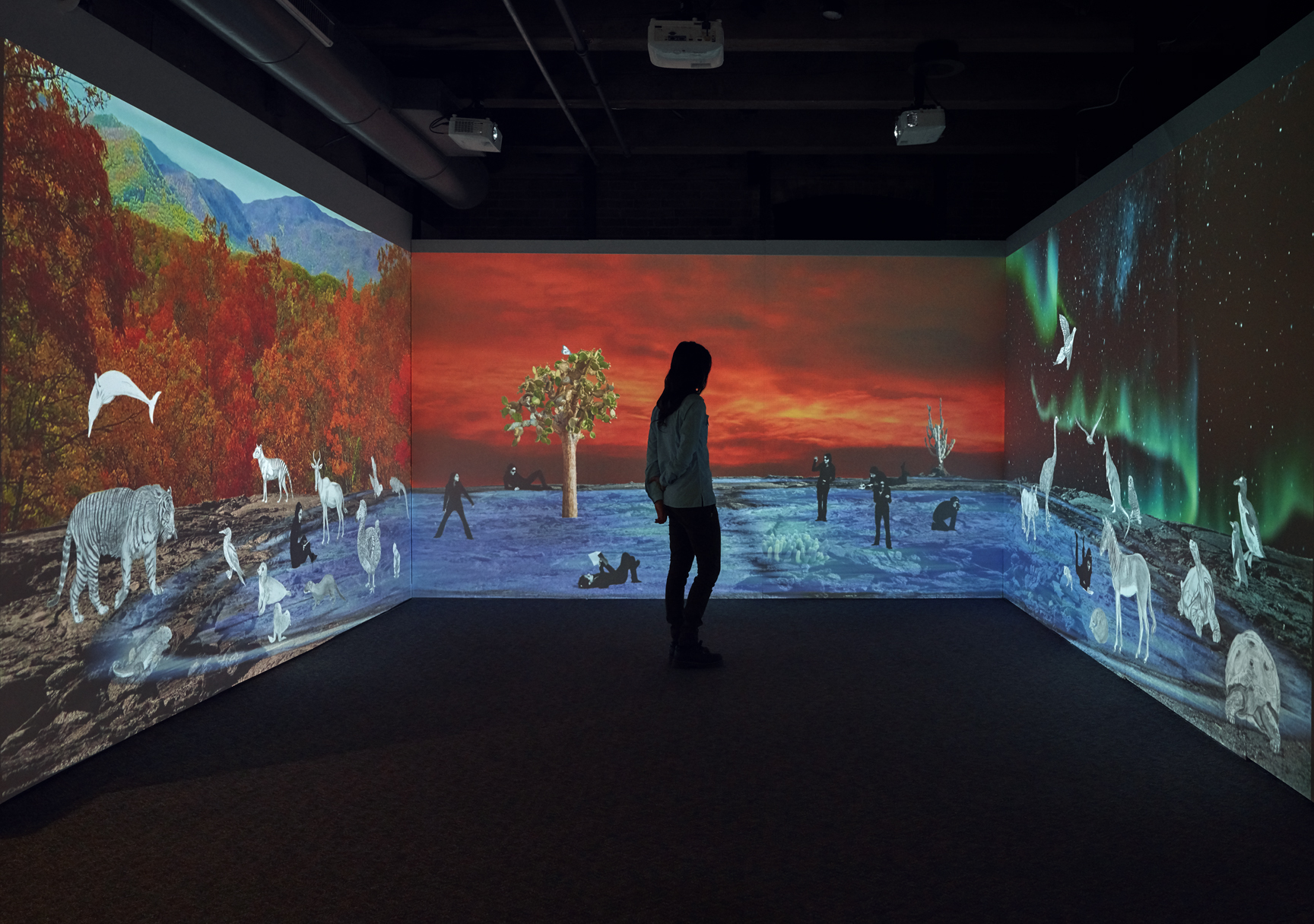 Bio « Allison Maria Rodriguez