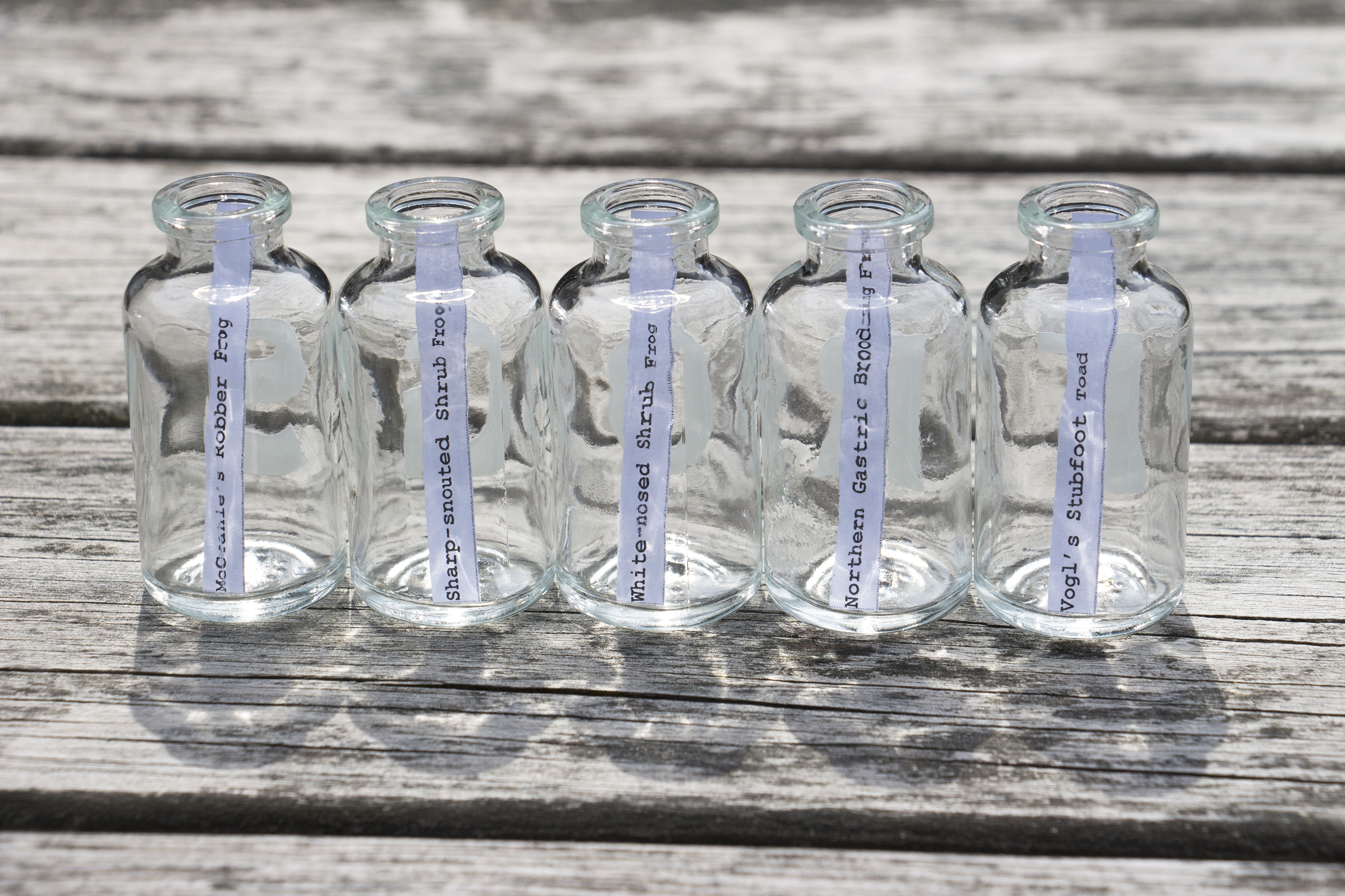 5 bottles « Allison Maria Rodriguez